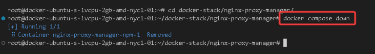 Part 5 How To Set Up Nginx Proxy Manager Using Docker Compose Anebula