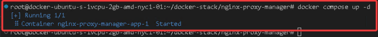Part 5 How To Set Up Nginx Proxy Manager Using Docker Compose Anebula