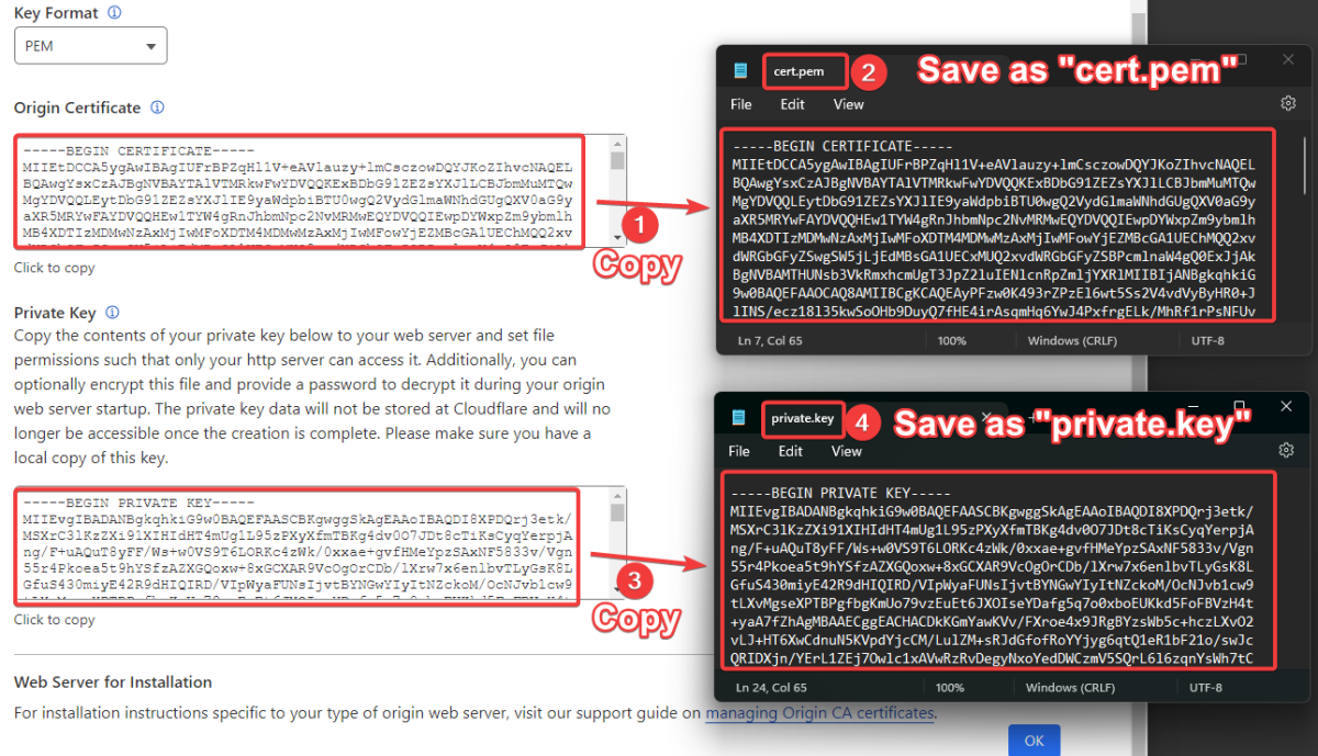 Part 5 How To Set Up Nginx Proxy Manager Using Docker Compose Anebula